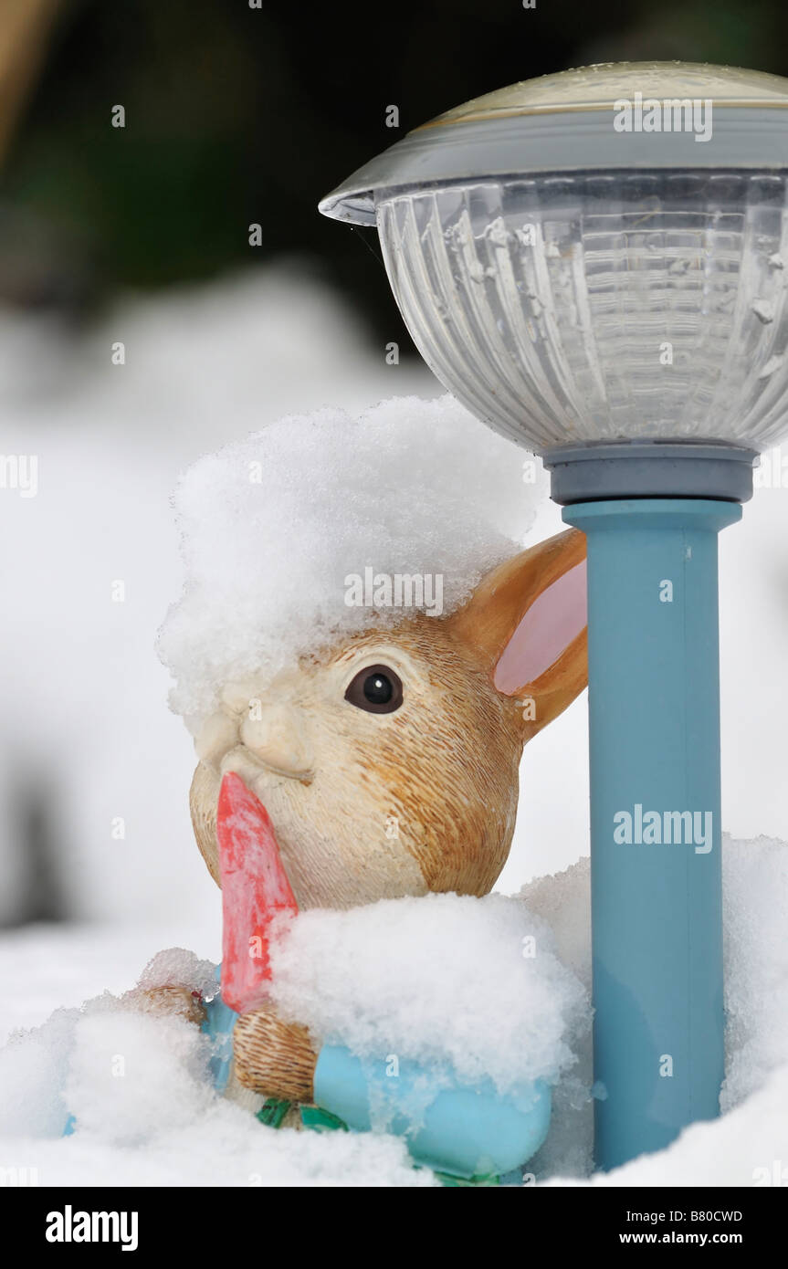 The peter rabbit garden hi-res stock photography and images - Alamy