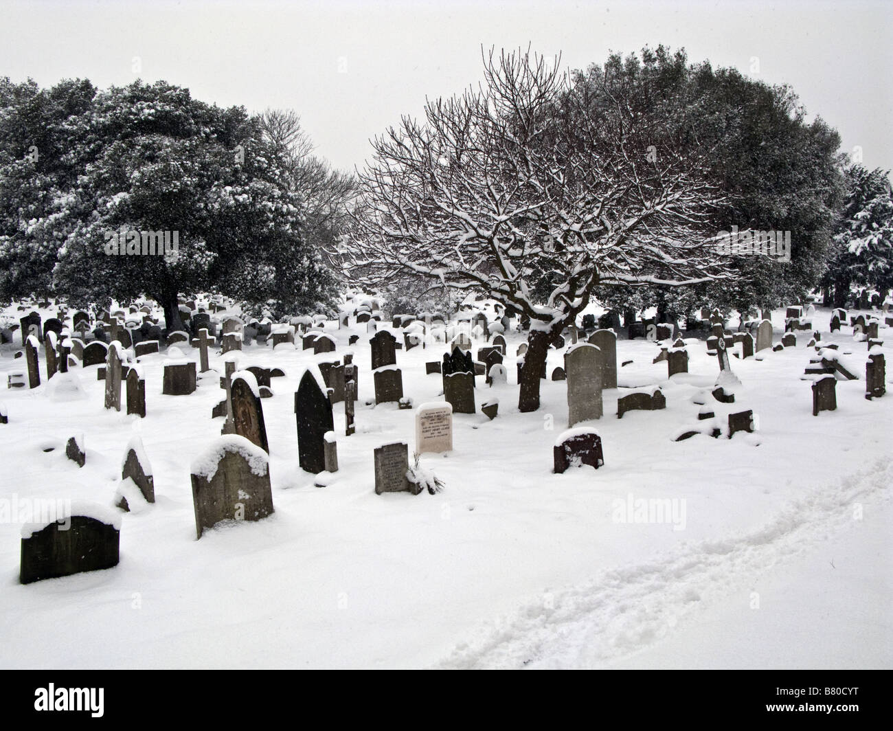 Brompton cemetery snow hi-res stock photography and images - Alamy