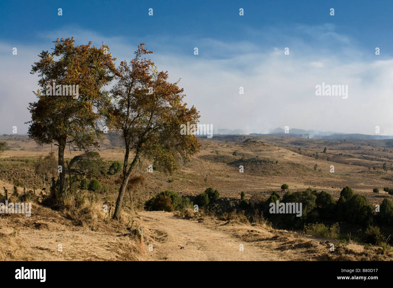 Bale mountains hi-res stock photography and images - Alamy