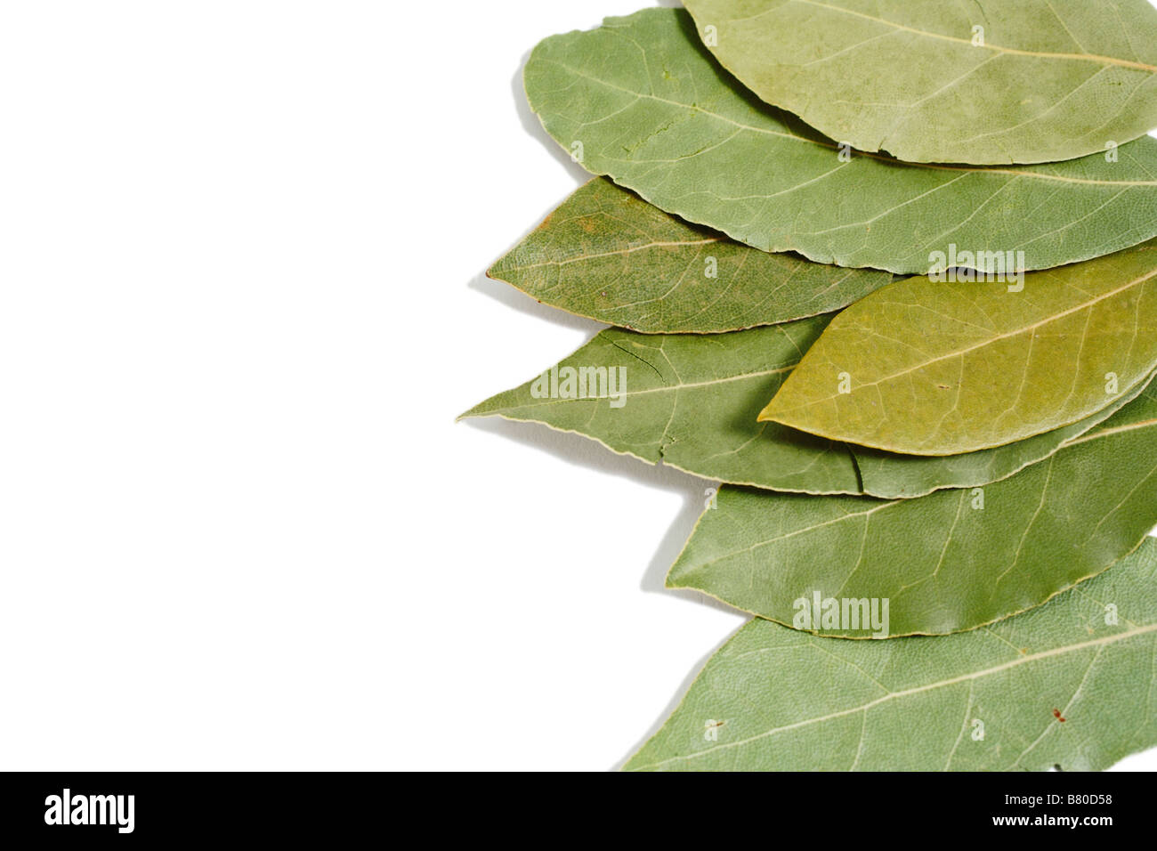 Cooking ingredient. Dried laurel leaves Stock Photo - Alamy