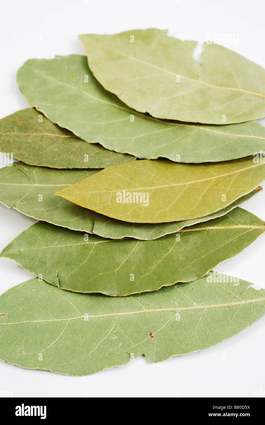 Cooking ingredient.Dried laurel leaves Stock Photo - Alamy