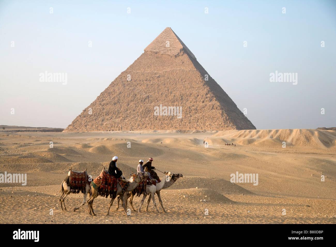 Egypt, Pyramids, Travel in Egypt, Giza, Travel, Cairo, Camel, Tourism ...