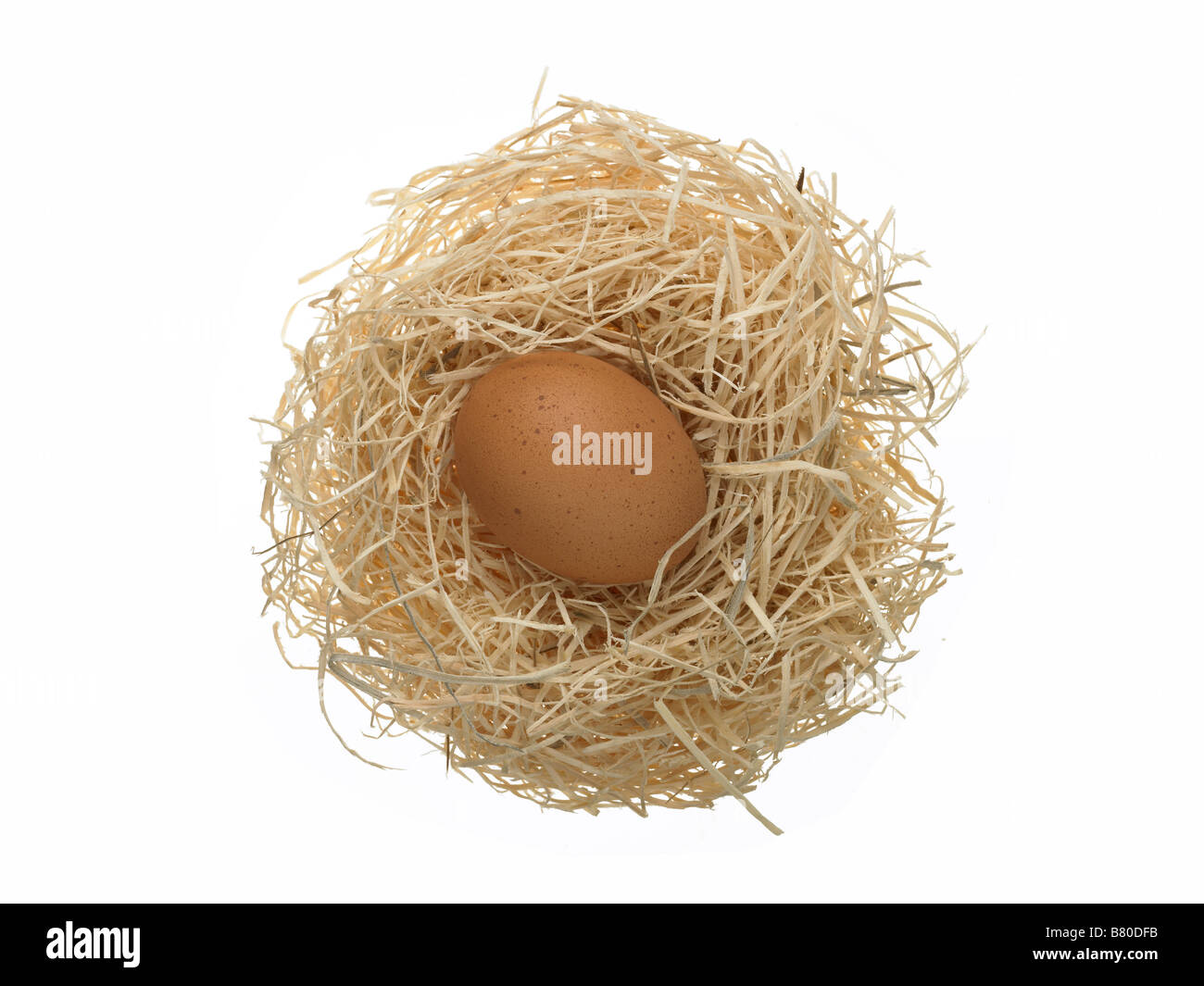 Hen egg nest hi-res stock photography and images - Alamy