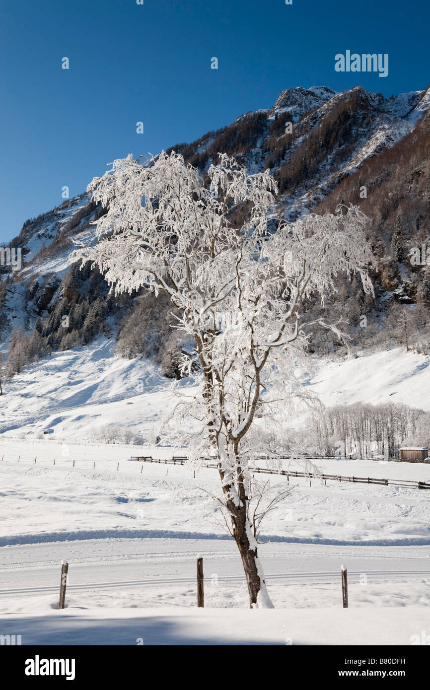 January Winter snow scene in Austrian Alps. Bucheben Rauriser Sonnen ...