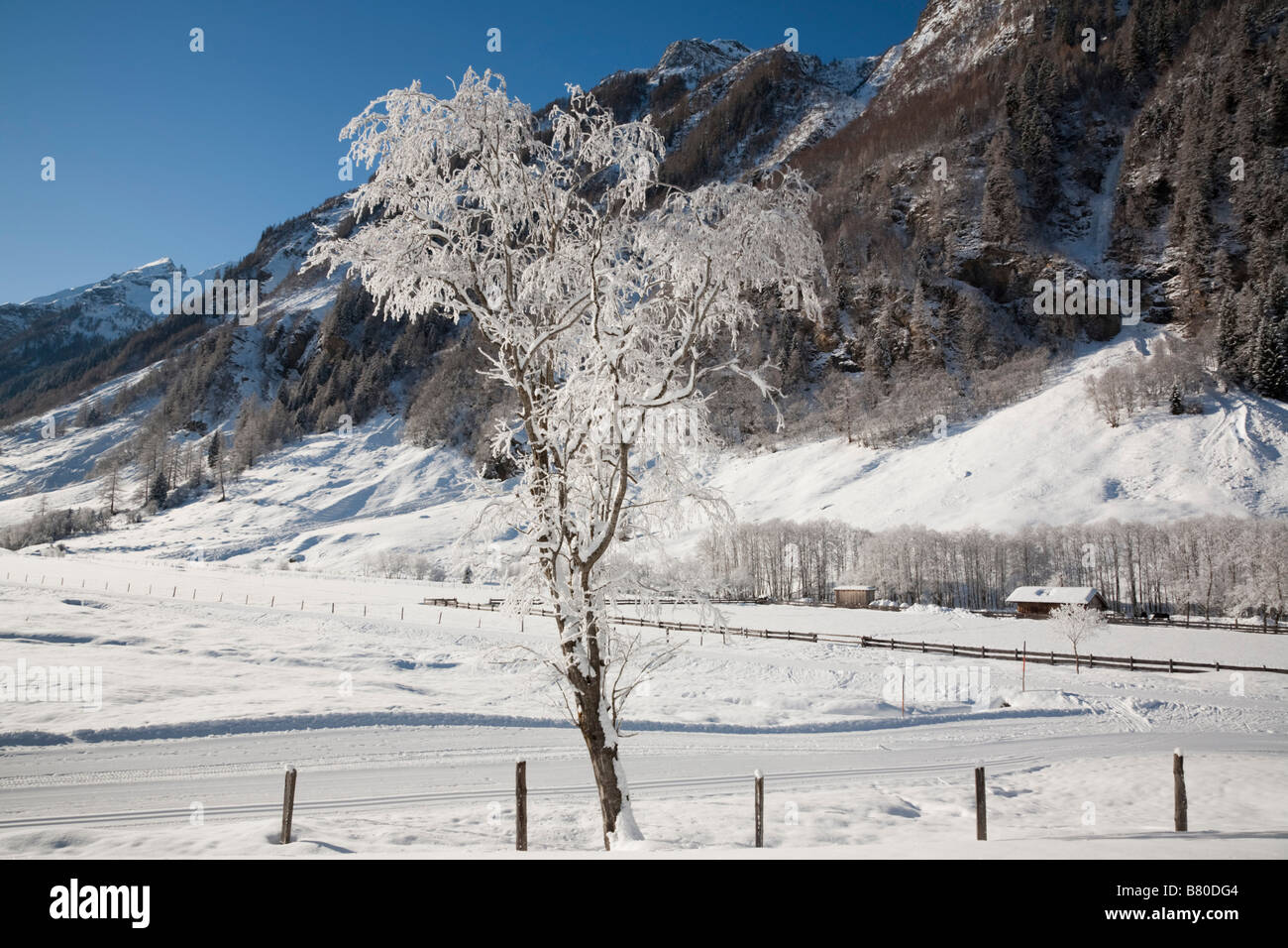 January Winter snow scene in Austrian Alps. Bucheben Rauriser Sonnen ...
