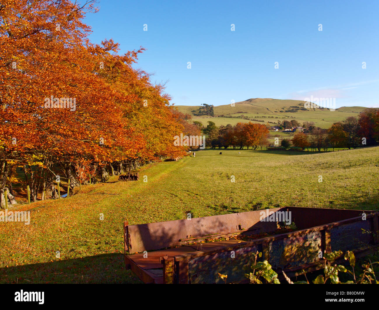 Saline Hill with Autumn trees in Fife Scotland Stock Photo - Alamy