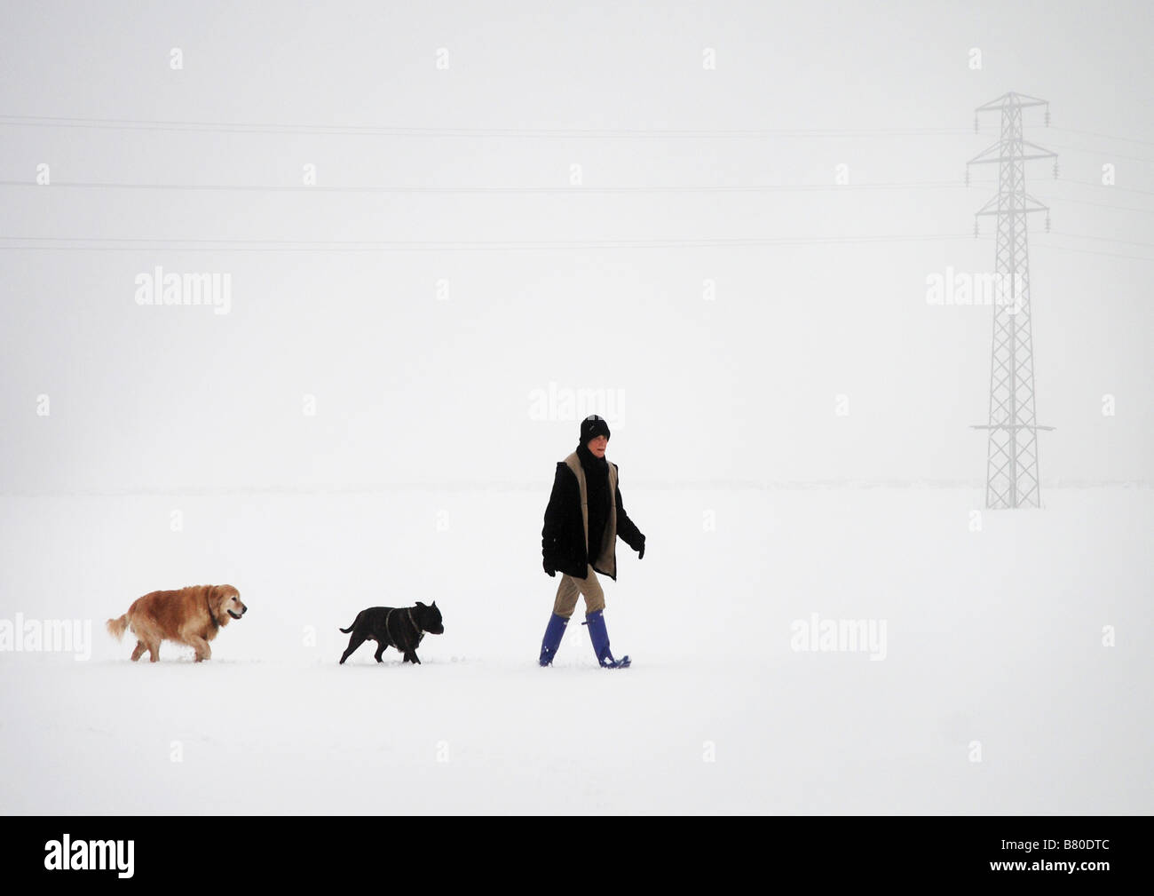 Land art pylon hi-res stock photography and images - Alamy