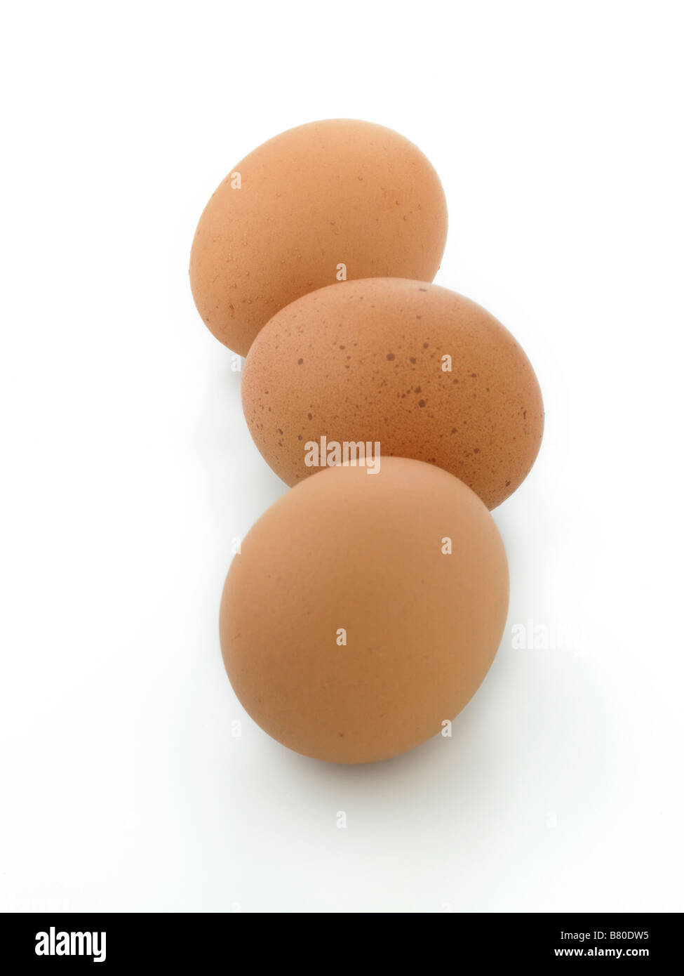 Lay out eggs hi-res stock photography and images - Alamy