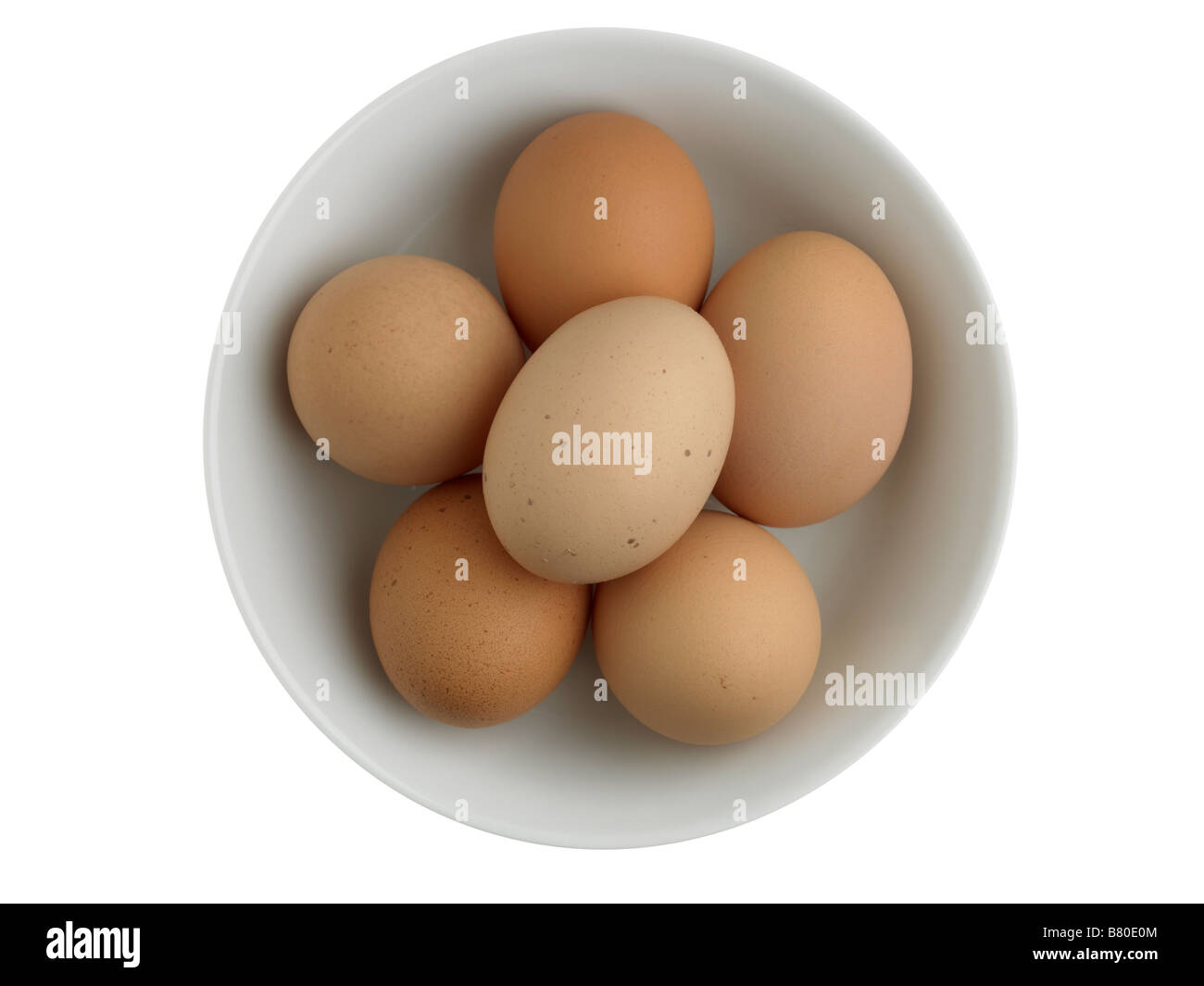 New laid eggs Cut Out Stock Images & Pictures - Alamy