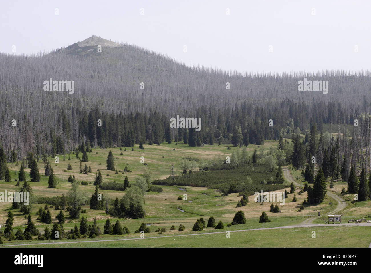 Lusen hi-res stock photography and images - Alamy