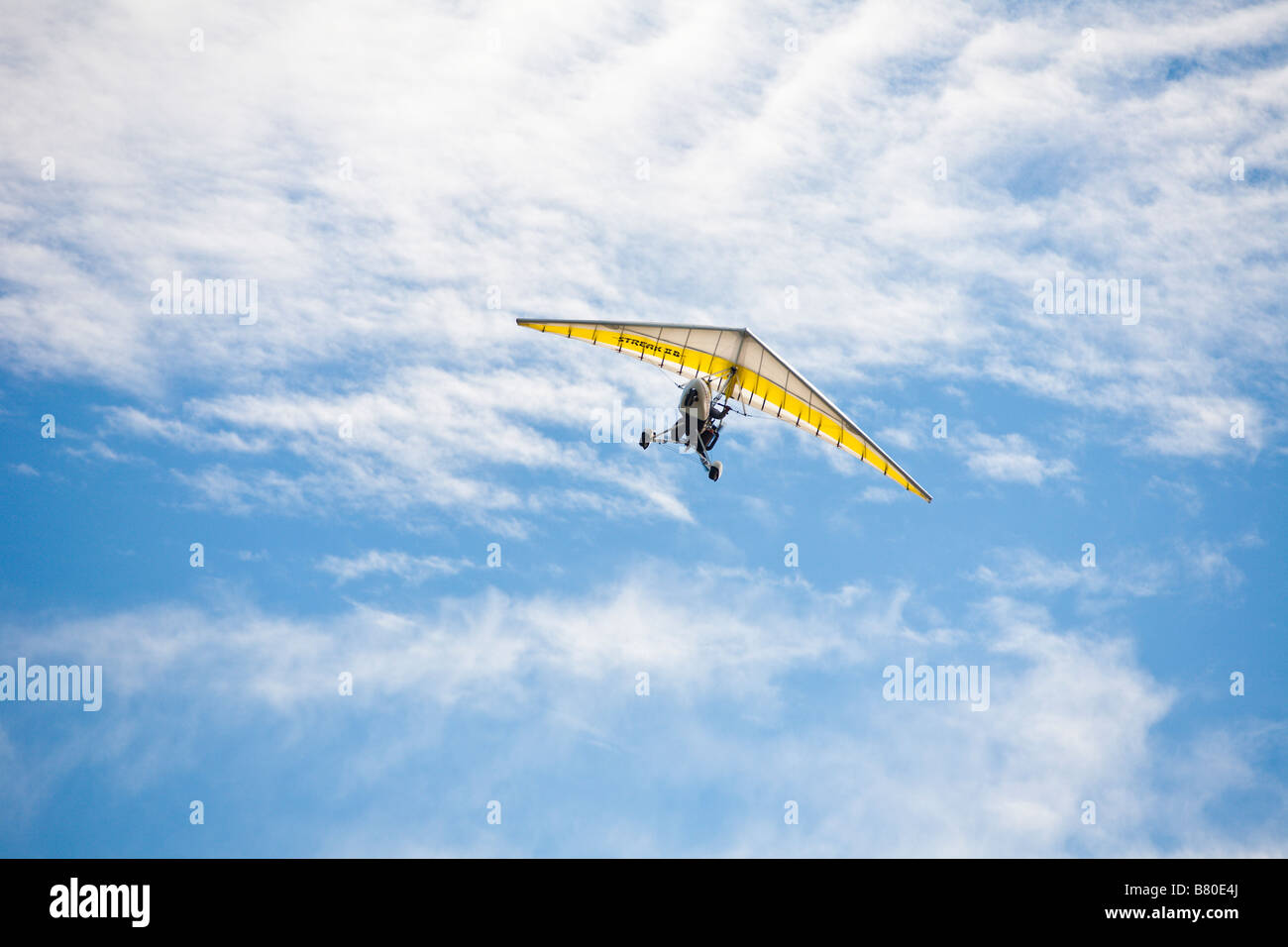 Fluffy Glider High Resolution Stock Photography and Images - Alamy