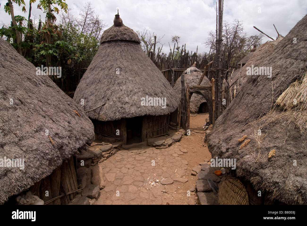 Gezahegne Woldu s Compund holy kraal from the Konso tribe Omovalley ...