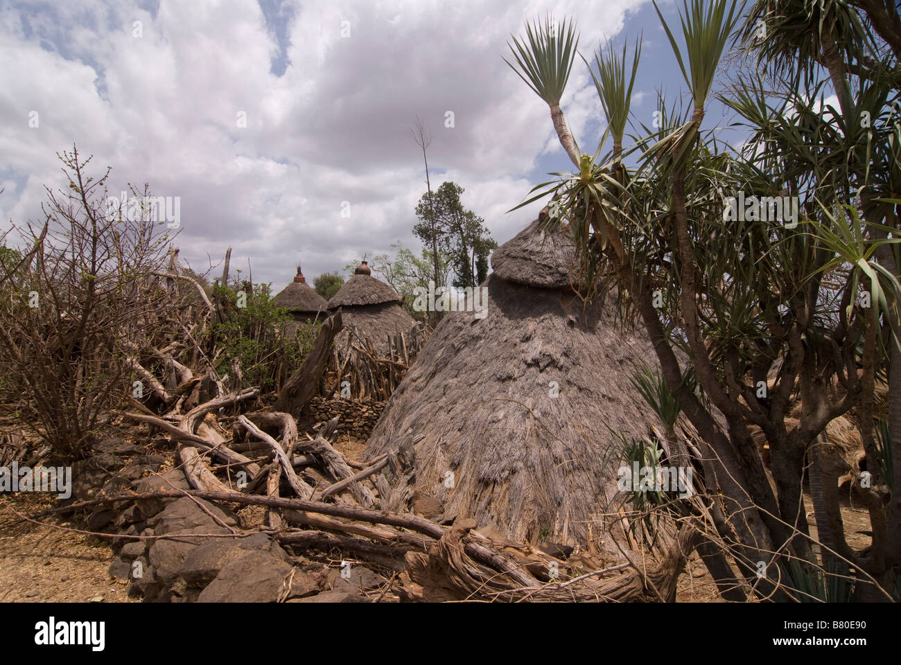Gezahegne Woldu s Compund holy kraal from the Konso tribe Omovalley ...