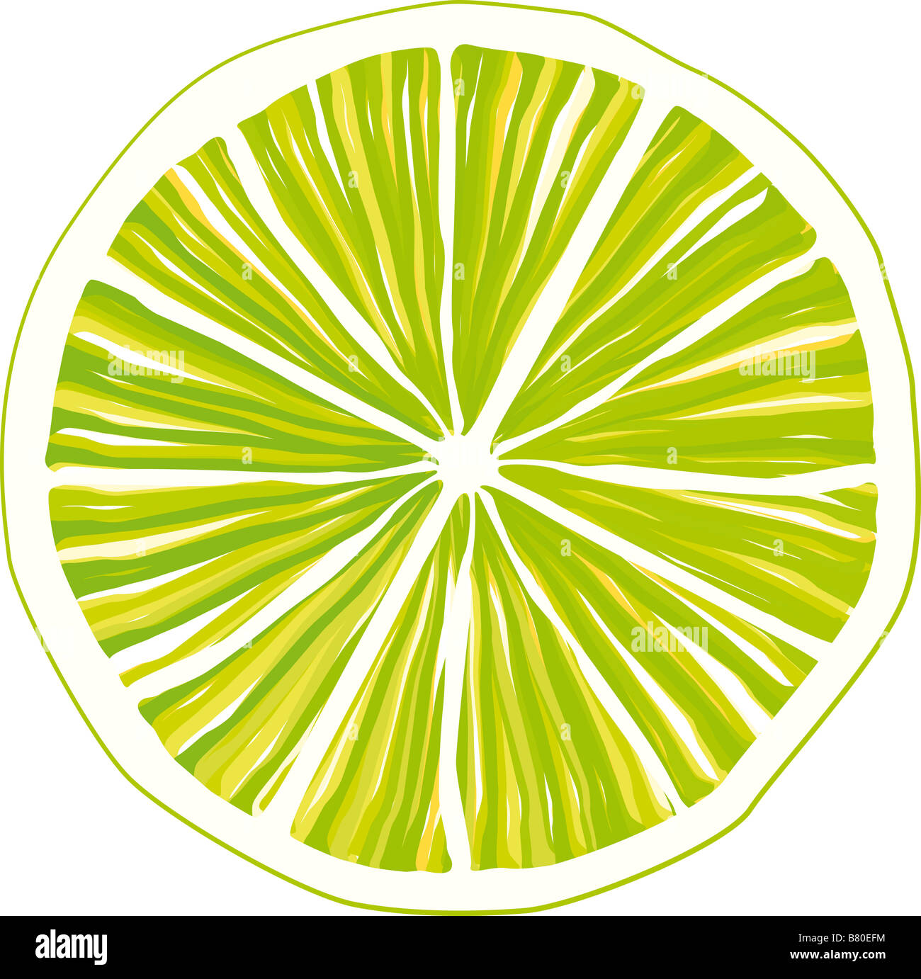 A slice of Lime Stock Photo - Alamy