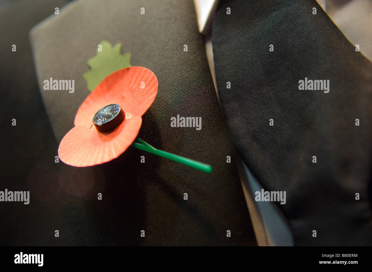 Poppy remembrance day lapel hi-res stock photography and images - Alamy