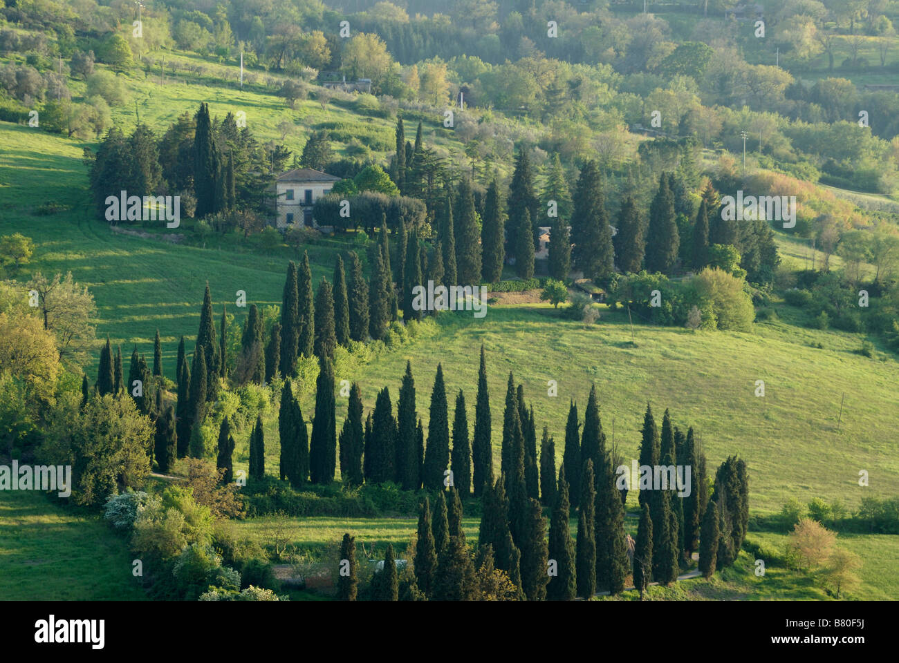Orvieto Umbria Italy Umbrian landscape in Orvieto Stock Photo - Alamy