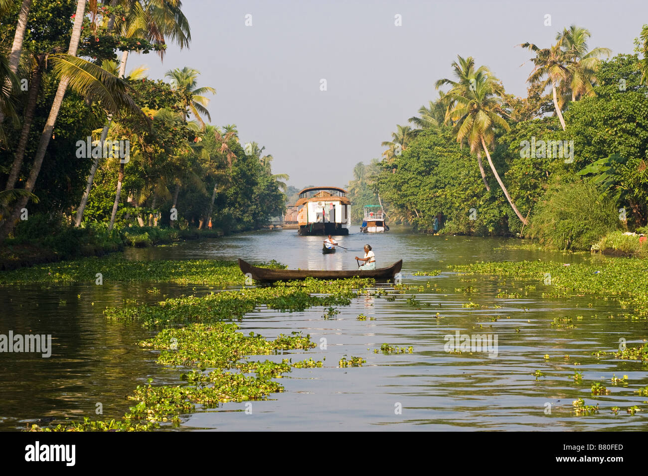 The Backwaters at Alappuzha or Alleppey, Kerala, India Stock Photo - Alamy