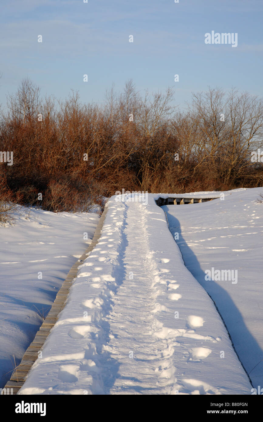 Parker River National Wildlife Refuge during the winter months Located ...