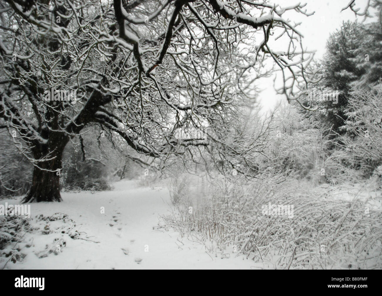 Luton snow hi-res stock photography and images - Alamy