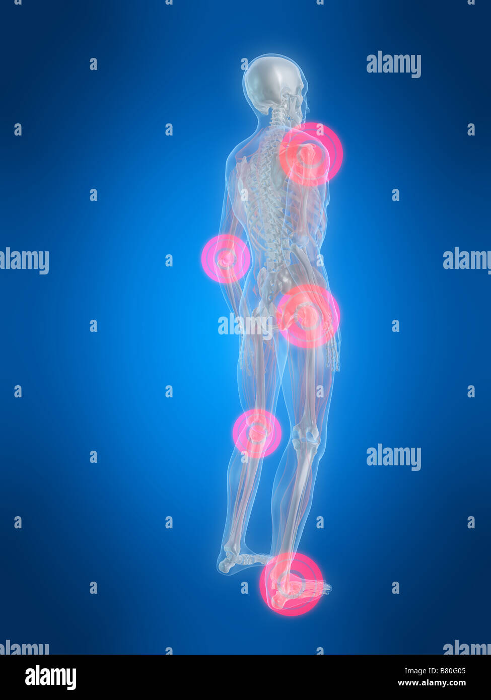 Joints Stock Photos & Joints Stock Images - Alamy