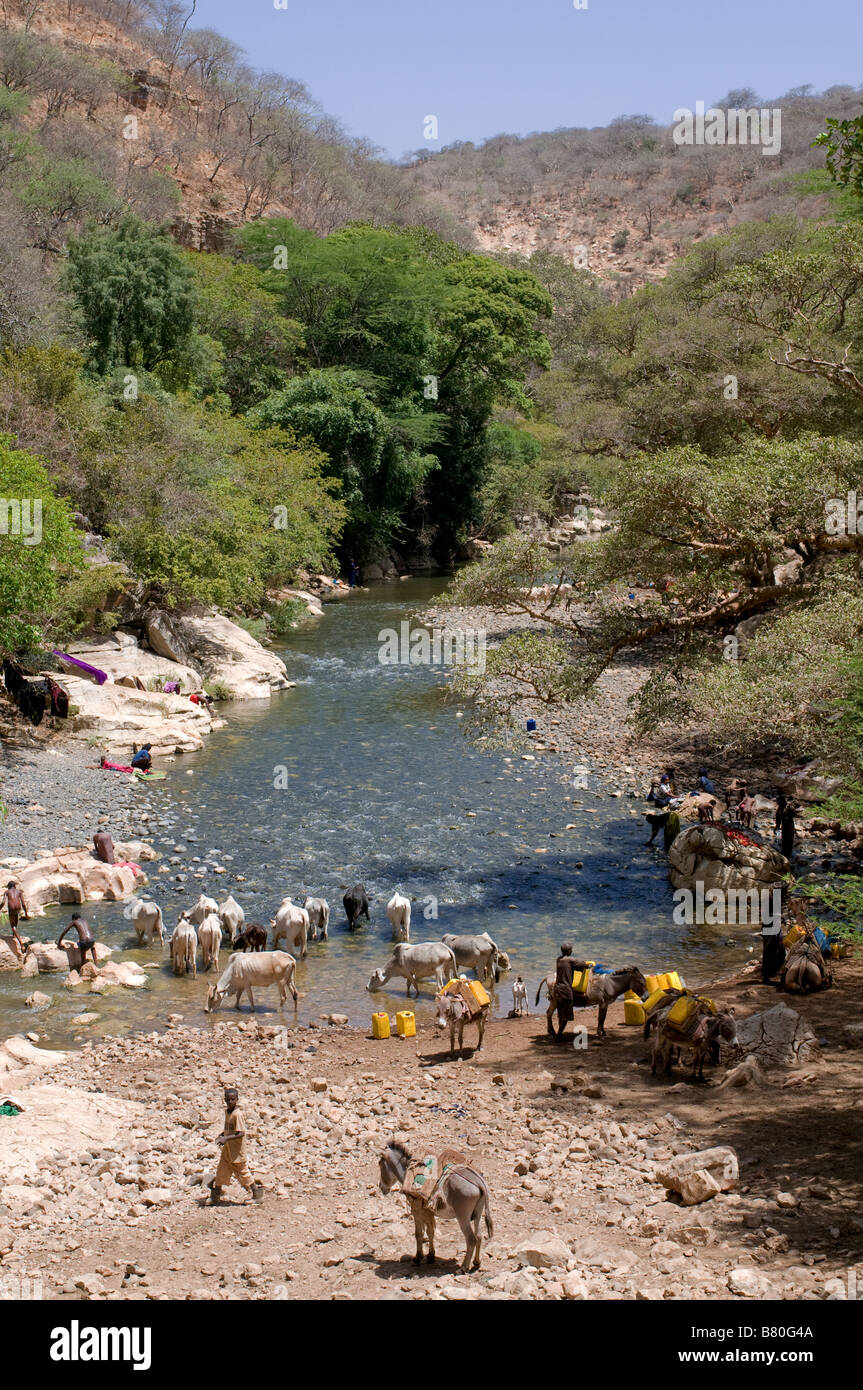 The entrance of the largest cave system in Africa Sof Omar Ethiopia ...