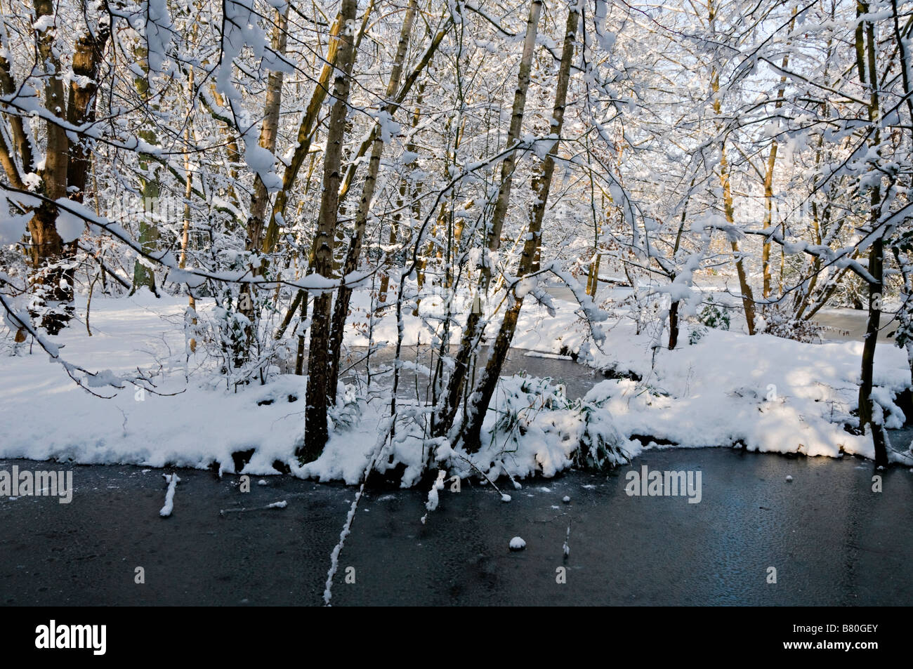 Snow covered woods Forty Hall Enfield UK Stock Photo - Alamy