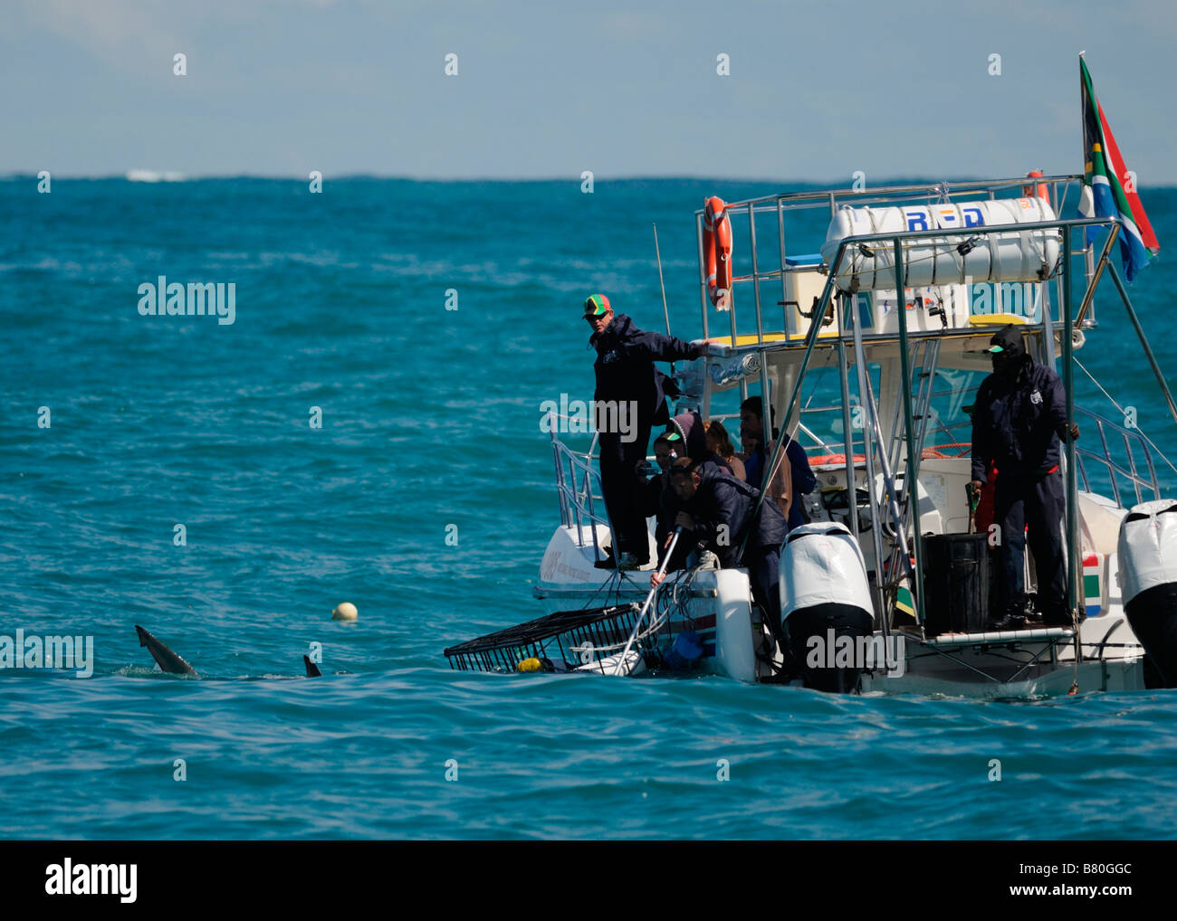 Shark cage hi-res stock photography and images - Alamy