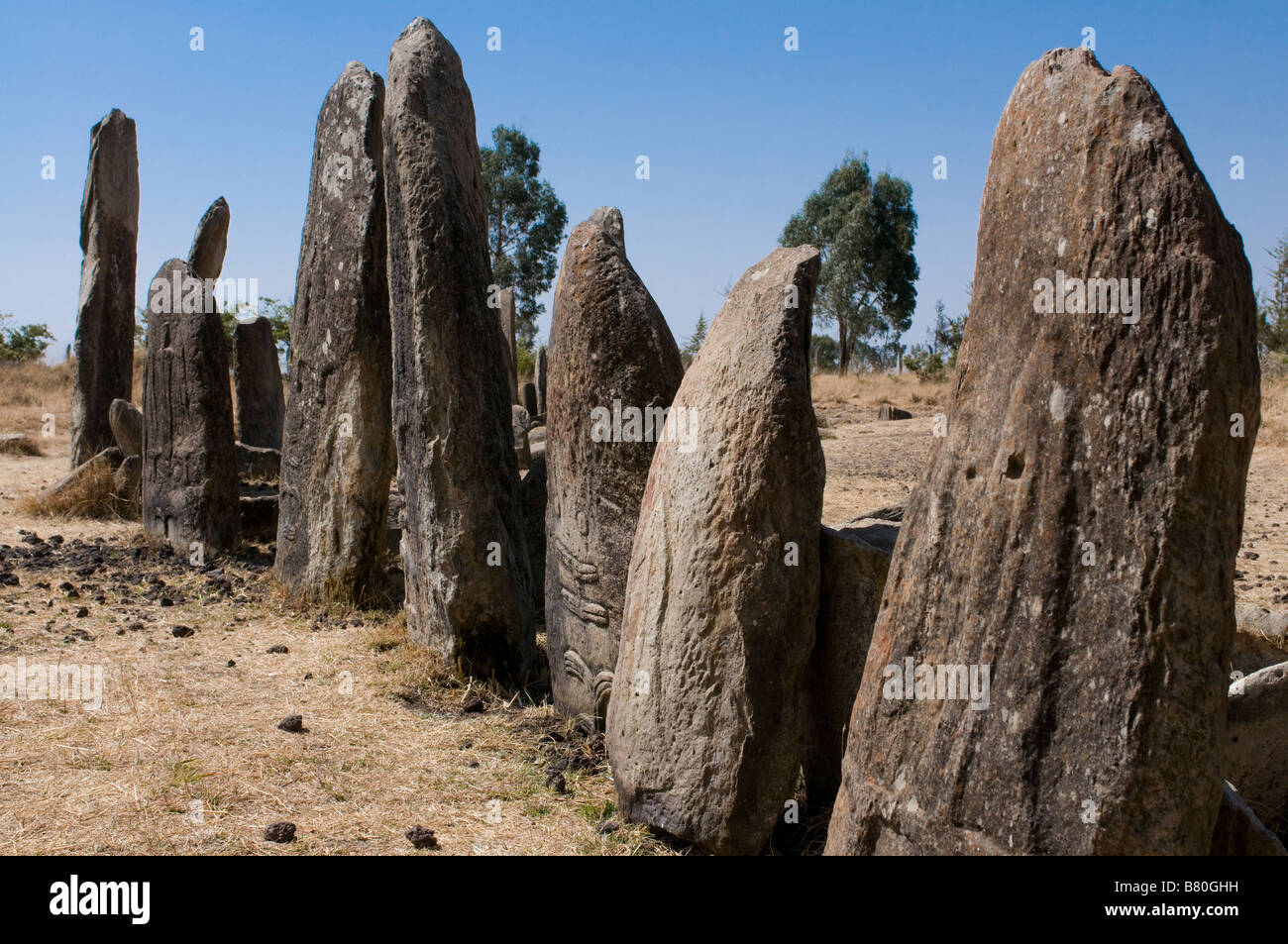 The old gravestones or monoliths of Tiya world heritage Ethiopia Africa ...