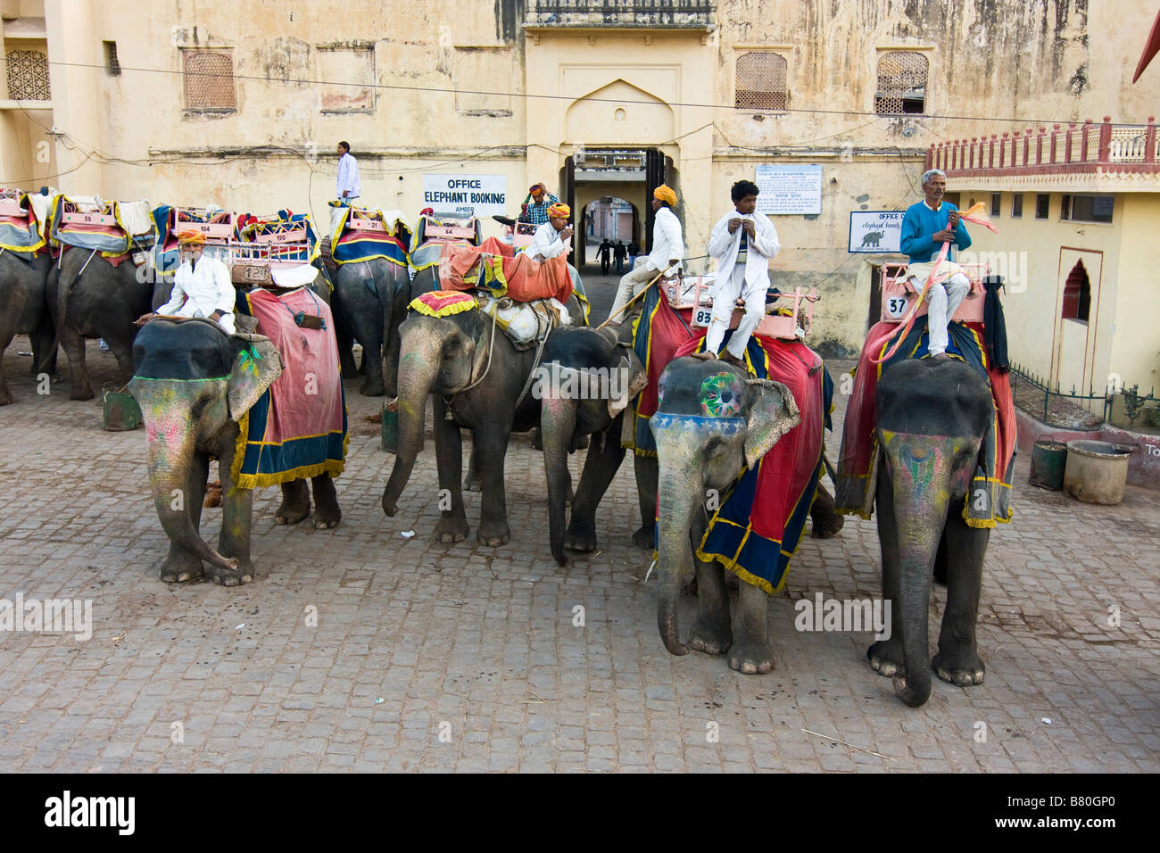 Elephants jaipur hi-res stock photography and images - Alamy