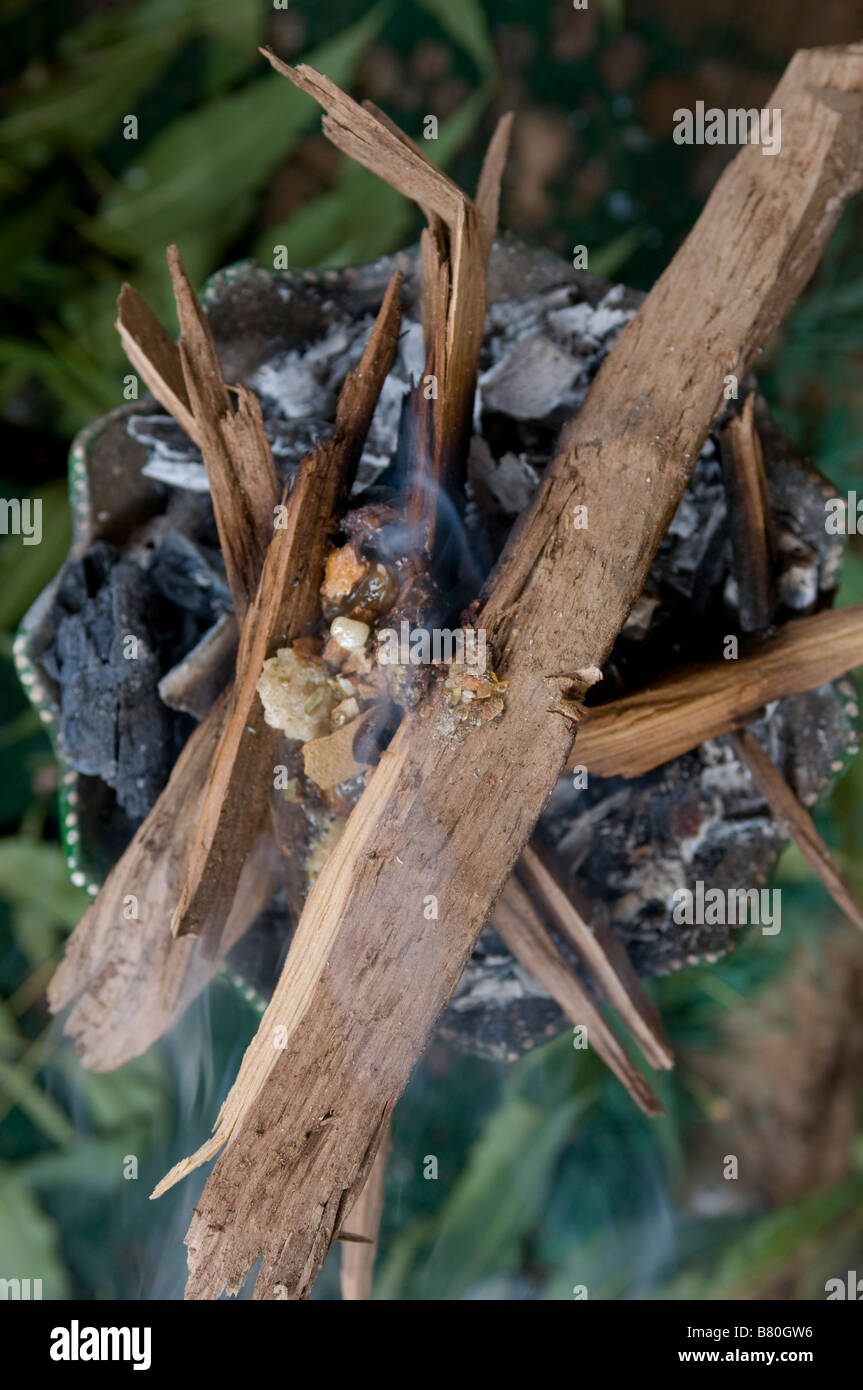 Firewood africa hi-res stock photography and images - Alamy