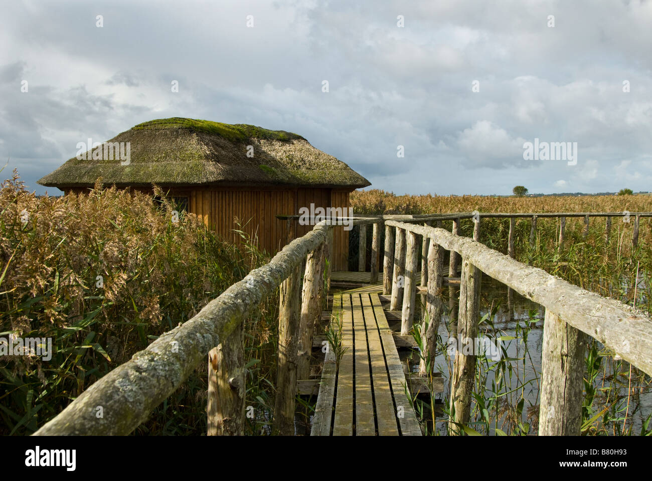 Thatched bird hi-res stock photography and images - Alamy