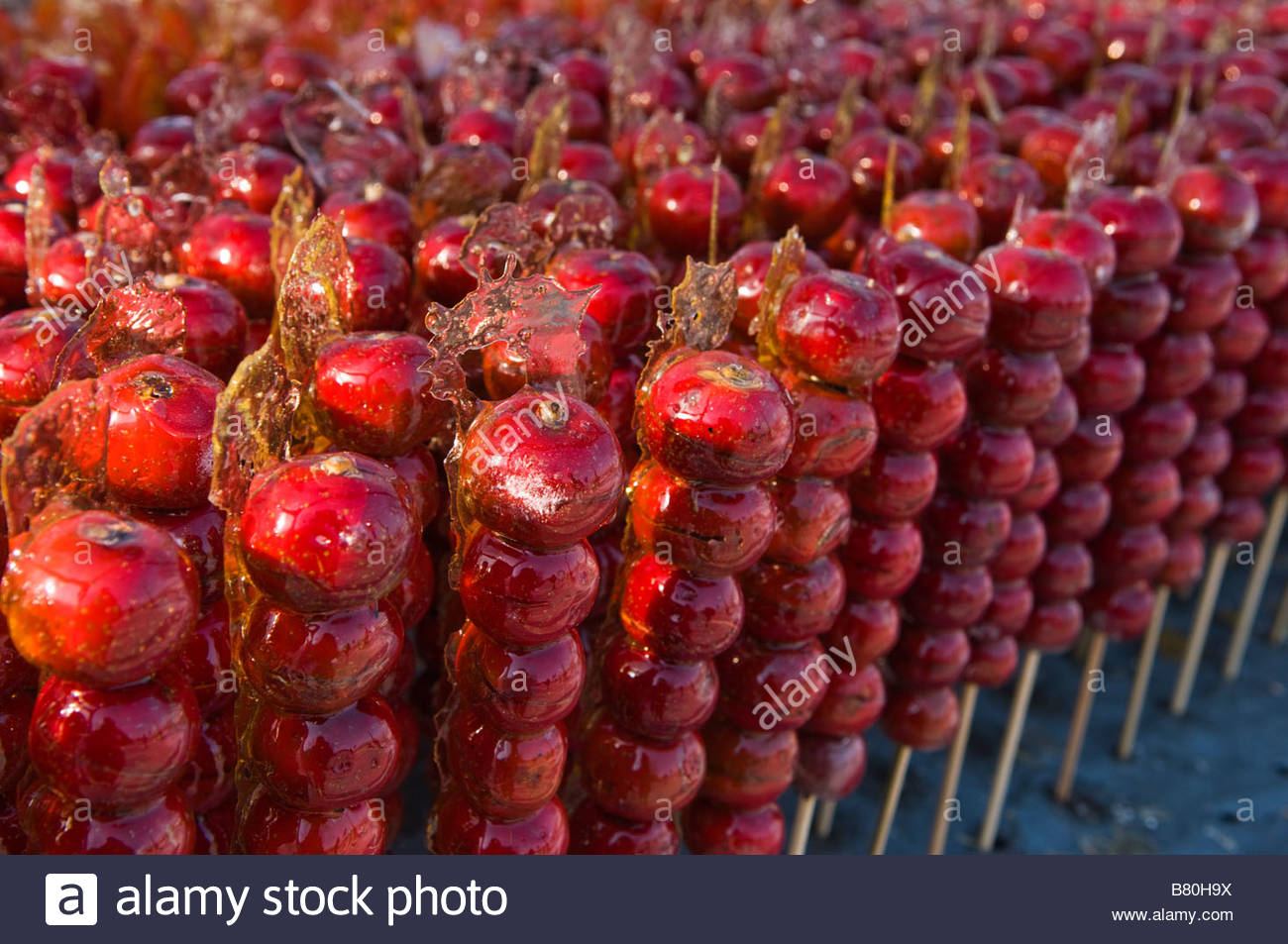 China Berry Stock Photos & China Berry Stock Images - Alamy