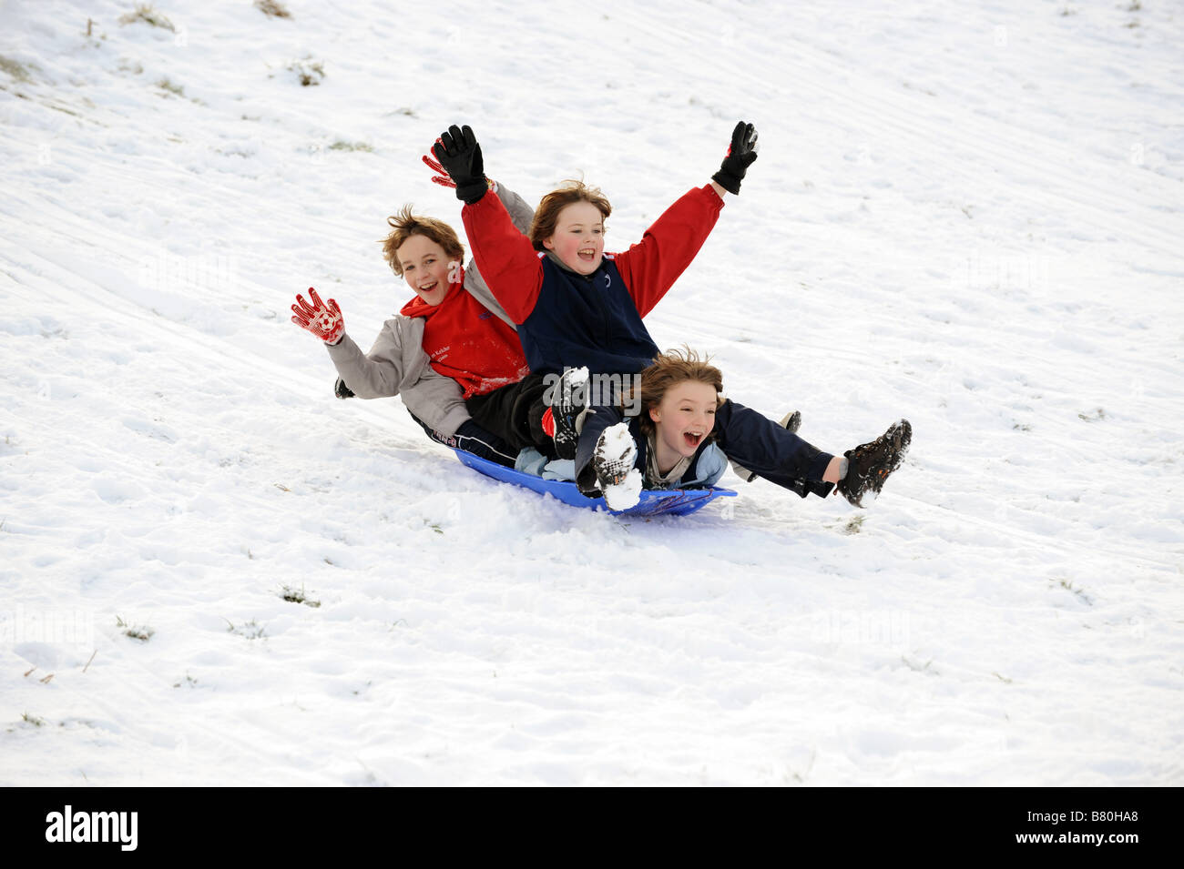 Young boys sledging in the snow Telford England Shropshire Britain Uk ...