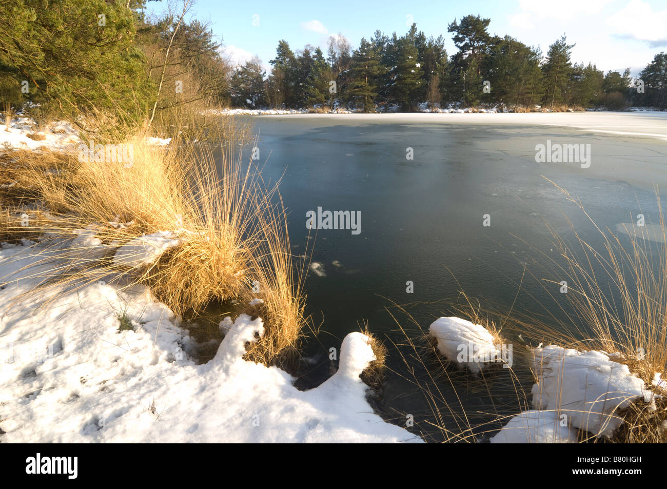 Moat pond hi-res stock photography and images - Alamy