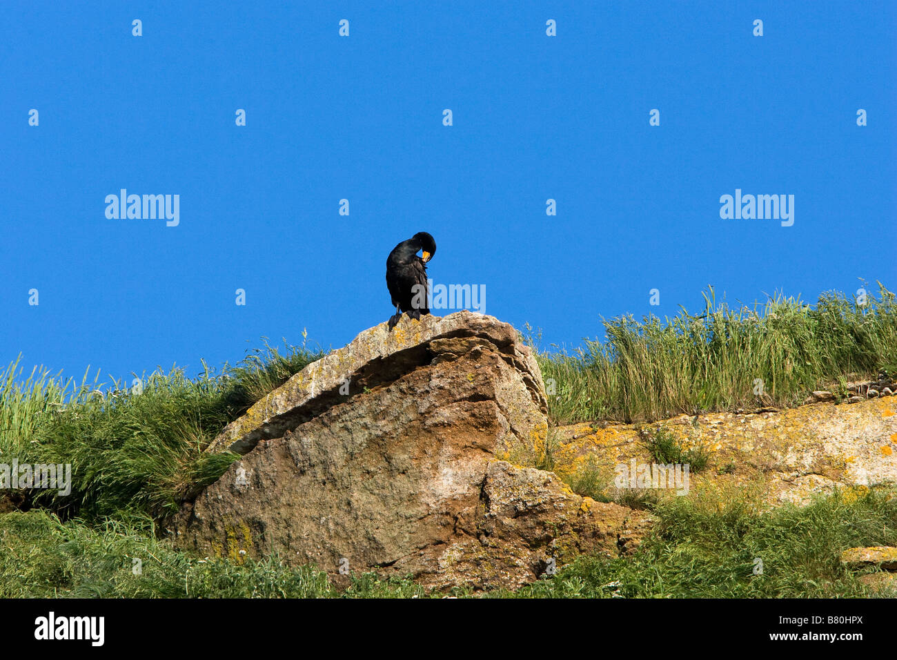Scratch rock hi-res stock photography and images - Alamy