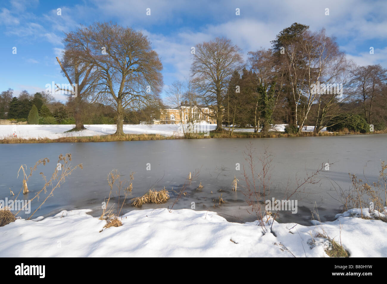 Waverley abbey tree hi-res stock photography and images - Alamy