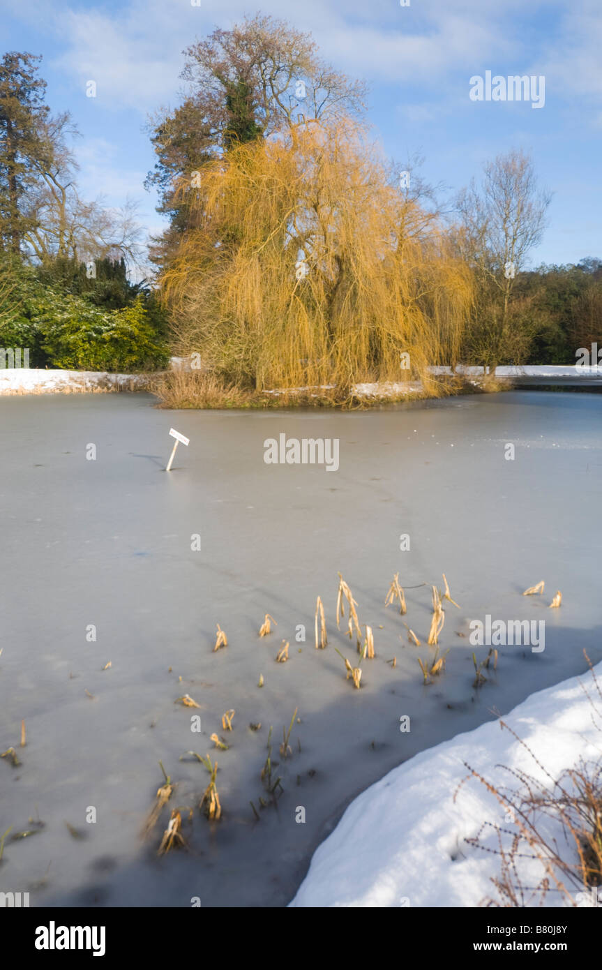 Waverley abbey tree hi-res stock photography and images - Alamy