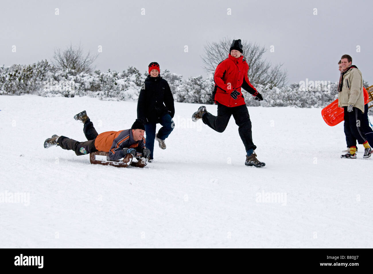 Adults enjoying sledging in deep snow on slopes of Cleeve Hill ...