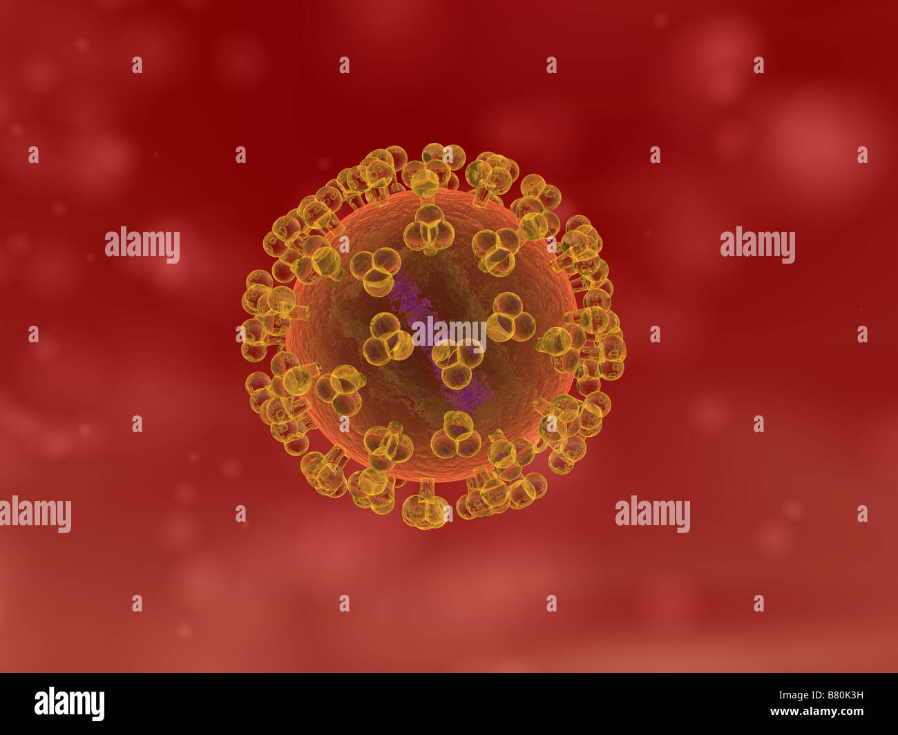 Hi virus hi-res stock photography and images - Alamy