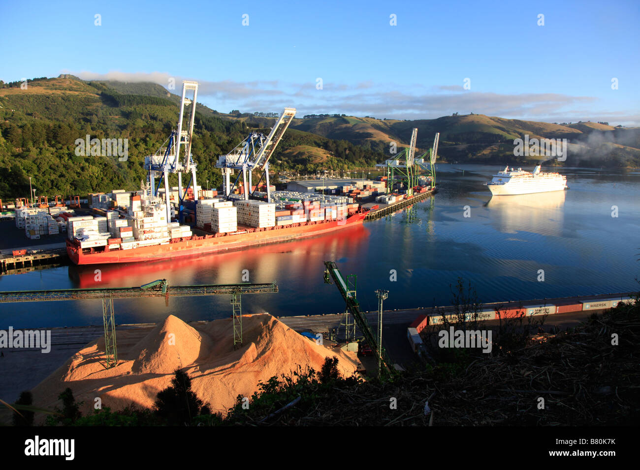 Container ship at terminal with cruise ship arriving,Port Chalmers ...
