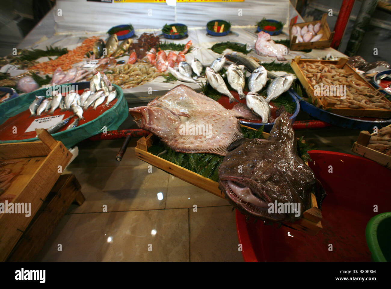 FISH MARKET STALL KUMKAPI ISTANBUL TURKEY KUMKAPI ISTANBUL TURKEY 11 ...