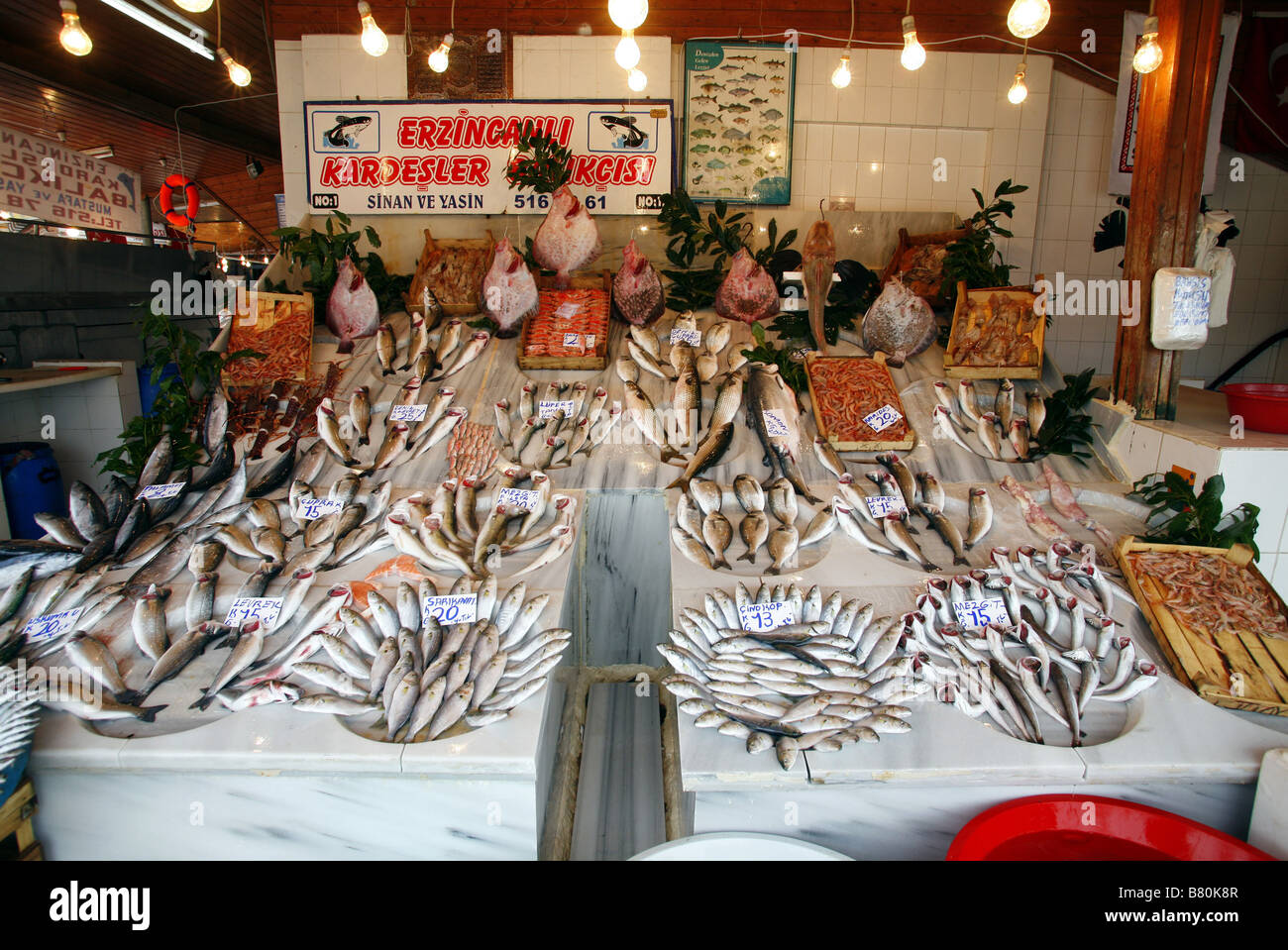 FISH MARKET STALL KUMKAPI ISTANBUL TURKEY KUMKAPI ISTANBUL TURKEY 12 ...