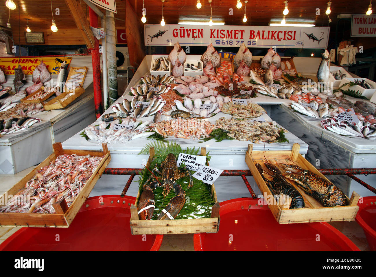 FISH MARKET STALL KUMKAPI ISTANBUL TURKEY KUMKAPI ISTANBUL TURKEY 12 ...