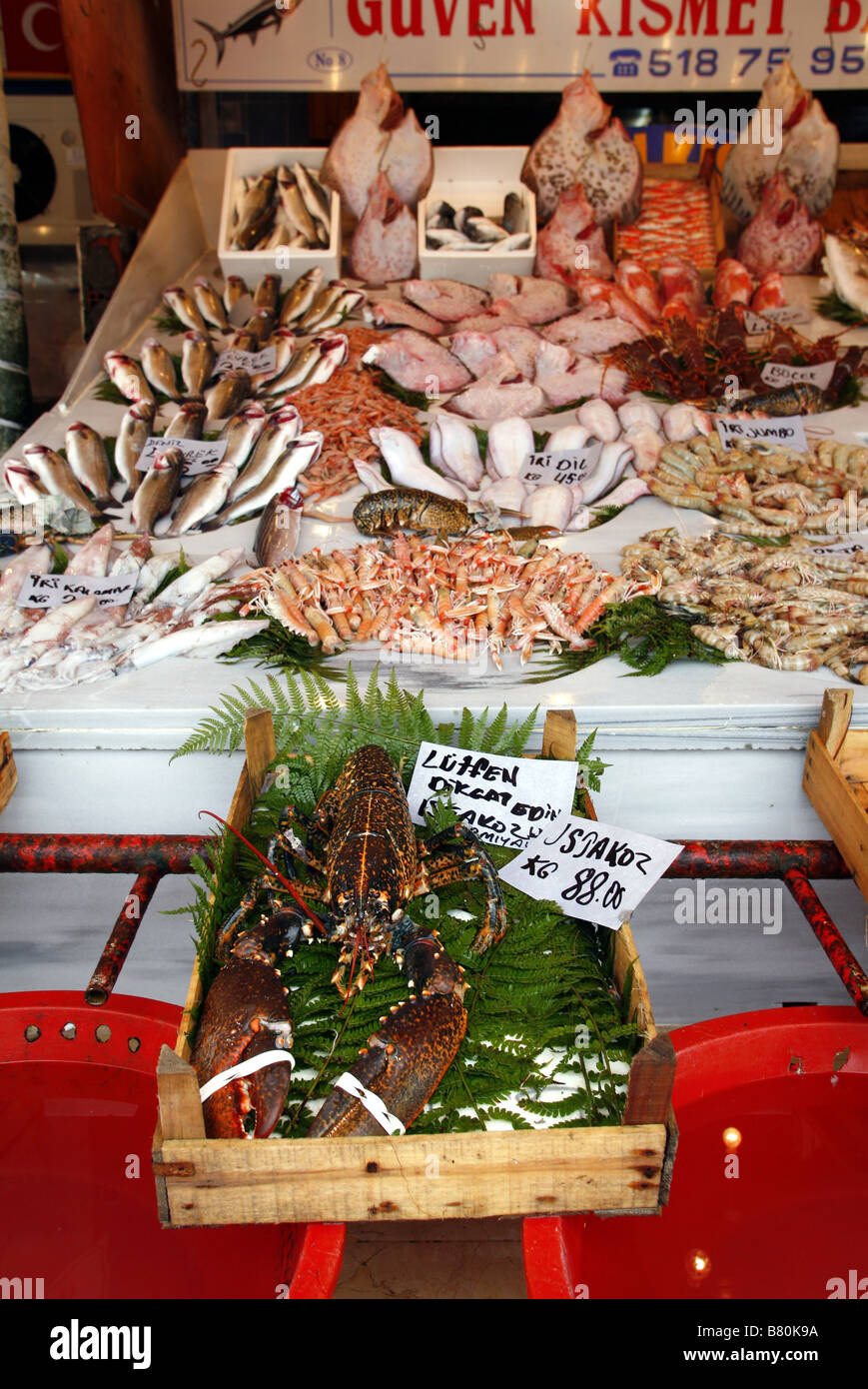 FISH MARKET STALL KUMKAPI KUMKAPI ISTANBUL TURKEY ISTANBUL TURKEY 12/02 ...