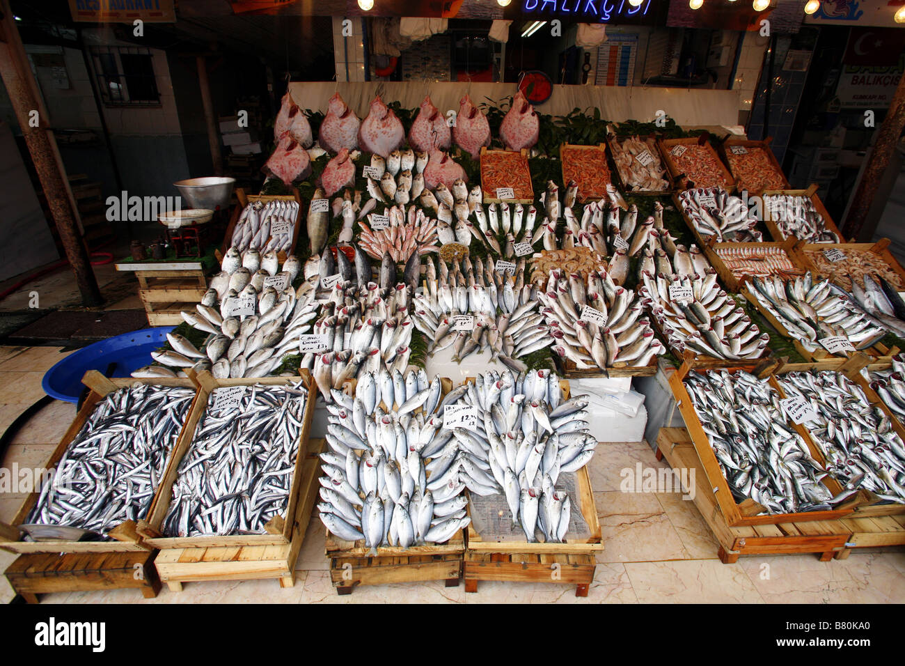 FISH MARKET STALL KUMKAPI ISTANBUL TURKEY KUMKAPI ISTANBUL TURKEY 12 ...
