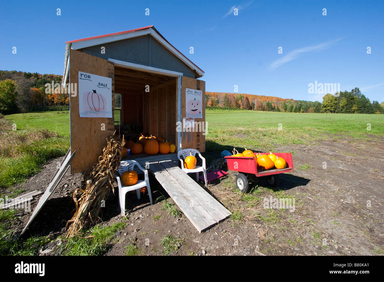 A small hut selling pumpkins on a farm in rural Vermont USA October 7 ...