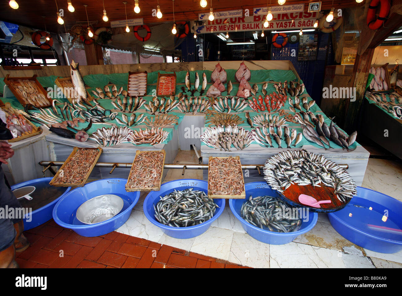 FISH MARKET STALL KUMKAPI ISTANBUL TURKEY KUMKAPI ISTANBUL TURKEY 12 ...