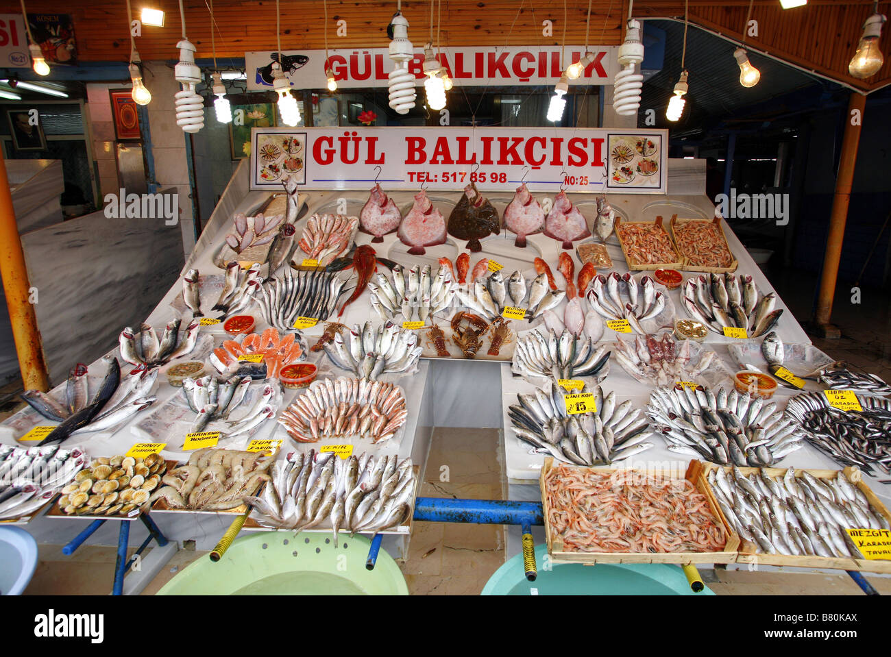 FISH MARKET STALL KUMKAPI ISTANBUL TURKEY KUMKAPI ISTANBUL TURKEY 12 ...