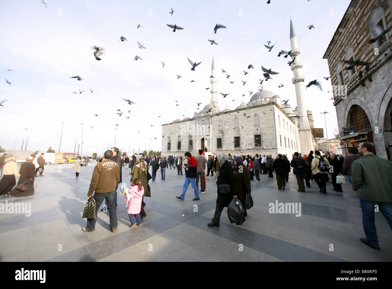 PIGEONS IN FRONT OF NEW MOSQUE ISTANBUL TURKEY BAZAAR QUARTER ISTANBUL ...