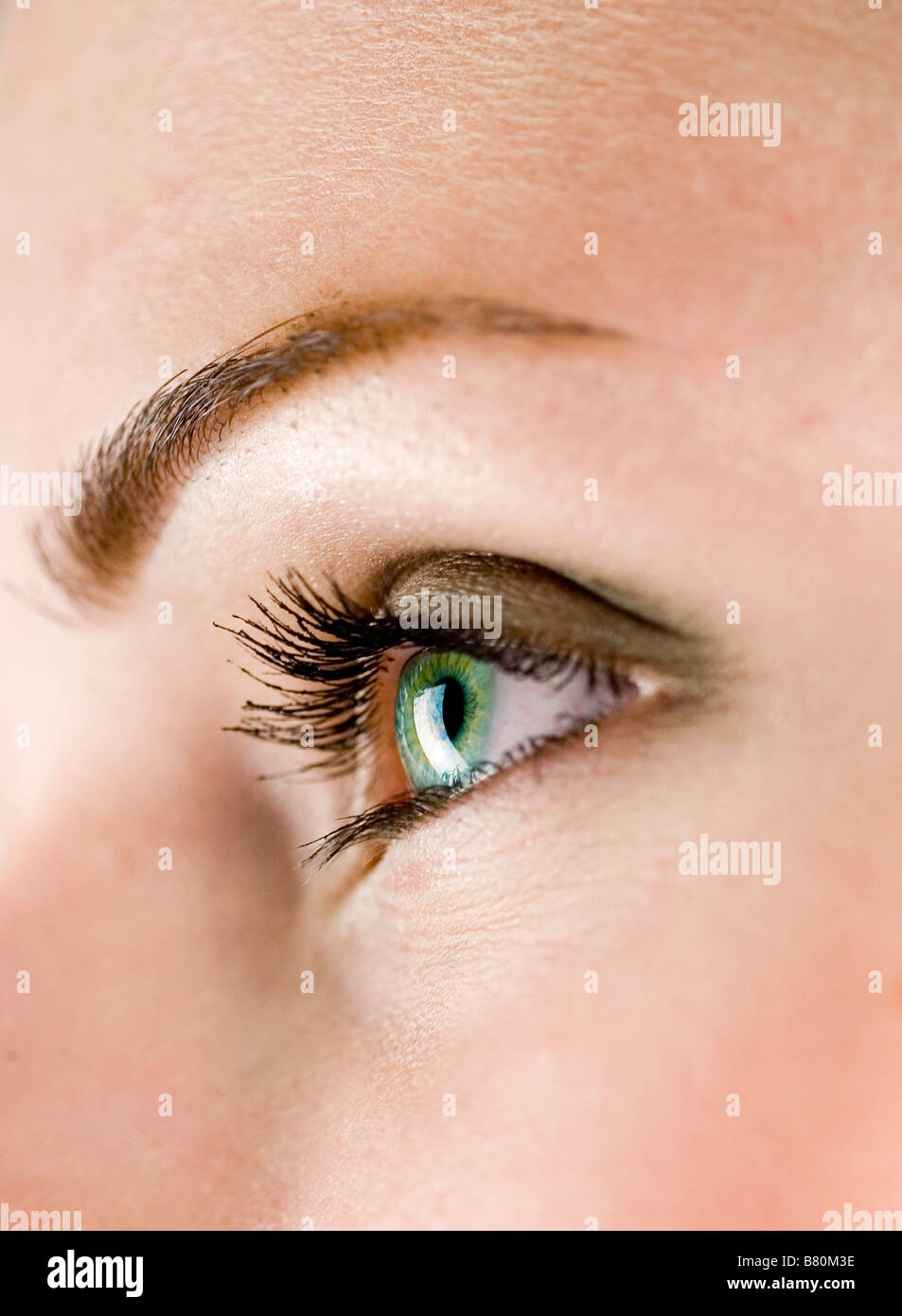 Close up to a young woman s left eye and eyebrow Stock Photo - Alamy